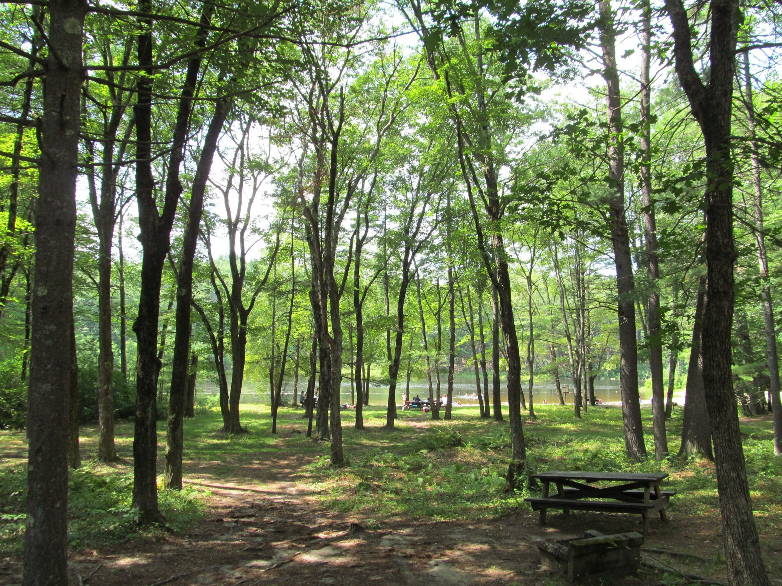 5 State Parks Near Lowell, Massachusetts - Merrimack Valley Massachusetts