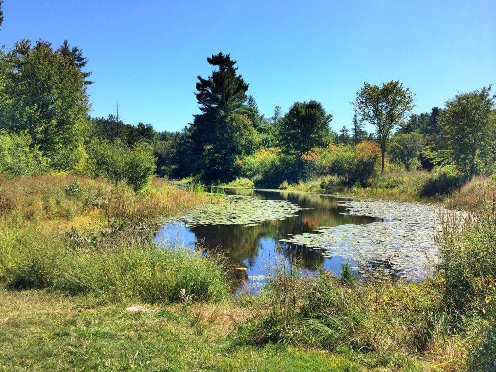 Visit Great Brook Farm State Park - Merrimack Valley Massachusetts
