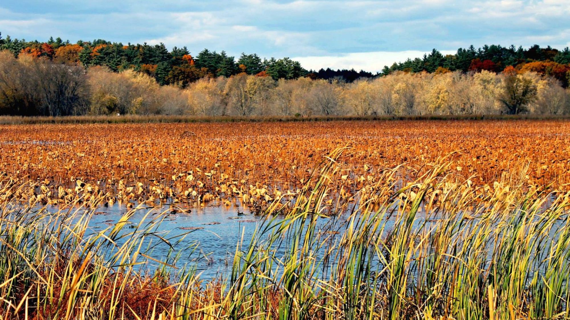 The Greater Merrimack Valley | Things To Do, Dining, And More