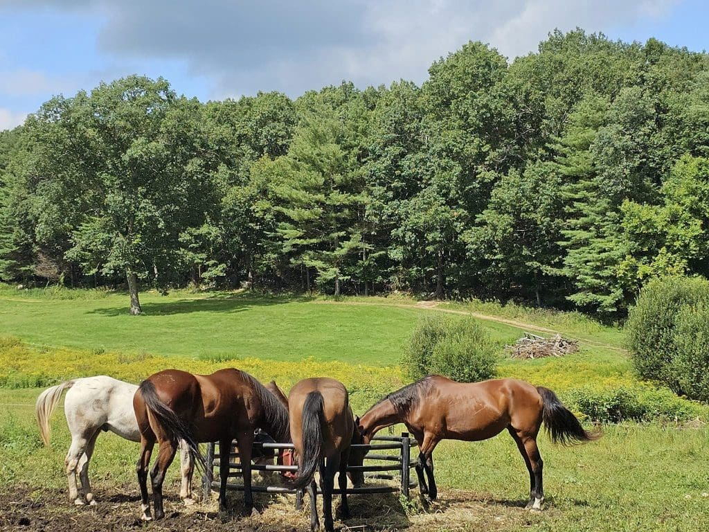 Greater Merrimack Valley History | Learn More About Our Home